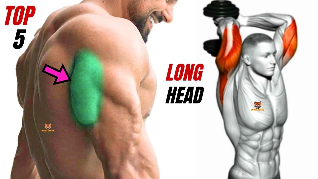 TOP 5 LONG HEAD TRICEPS WORKOUT AT GYM - YouTube