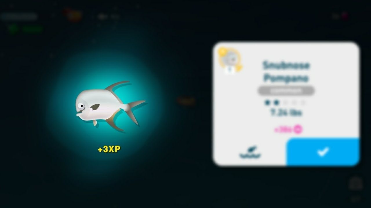 creatures of the deep - sunbnose pompano - YouTube