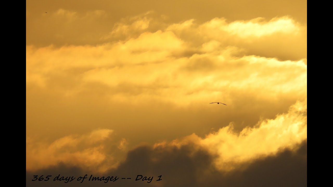 Farewell 2020 ! - 365 days of images - - Day 1- Dec, 31, 2020 - A ...