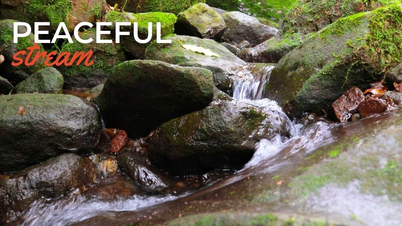 Flowing Harmony: Gentle River Soundscape - Babbling Brook - Small ...