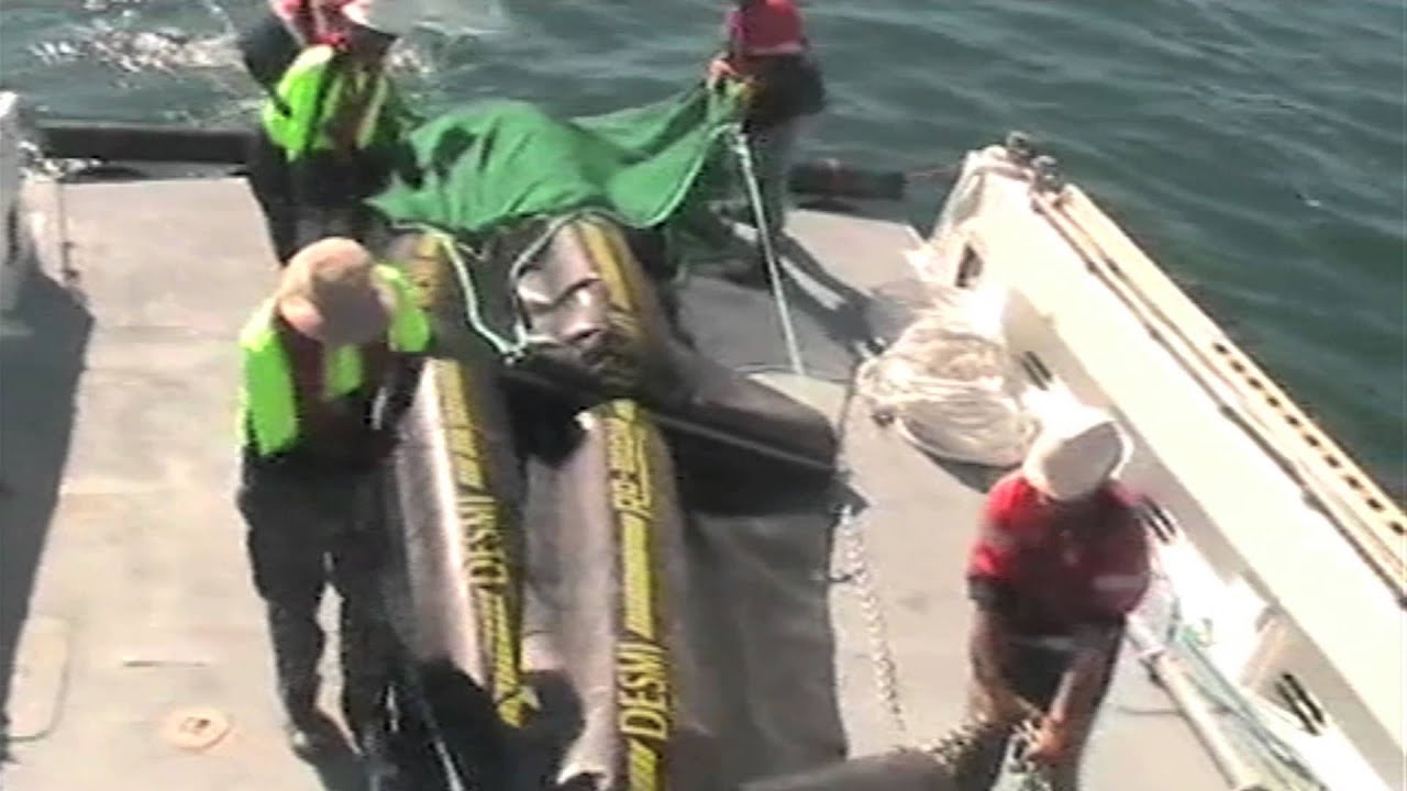 Murphy Equipment Deployment Exercise Promo - YouTube