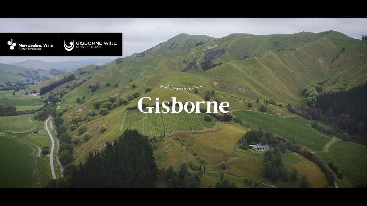 Gisborne Wine Region - YouTube