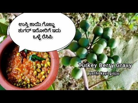 ಉಸ್ತಿ ಕಾಯಿ ಗೊಜ್ಜು ಮಾಡುವ ವಿಧಾನ ಕನ್ನಡದಲ್ಲಿ / ustikayi gujju / Turkey ...