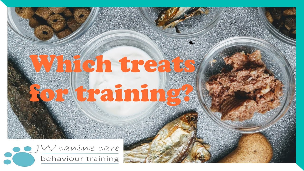 Choosing treats for reward-based training - YouTube