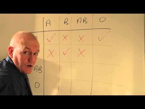 Which Blood Groups Are Compatible For Marriage?