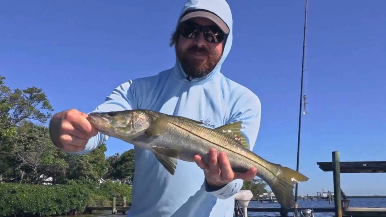 Fun Snook & Cuda Action With New Lure [Manatee River Fishing Report] - YouTube