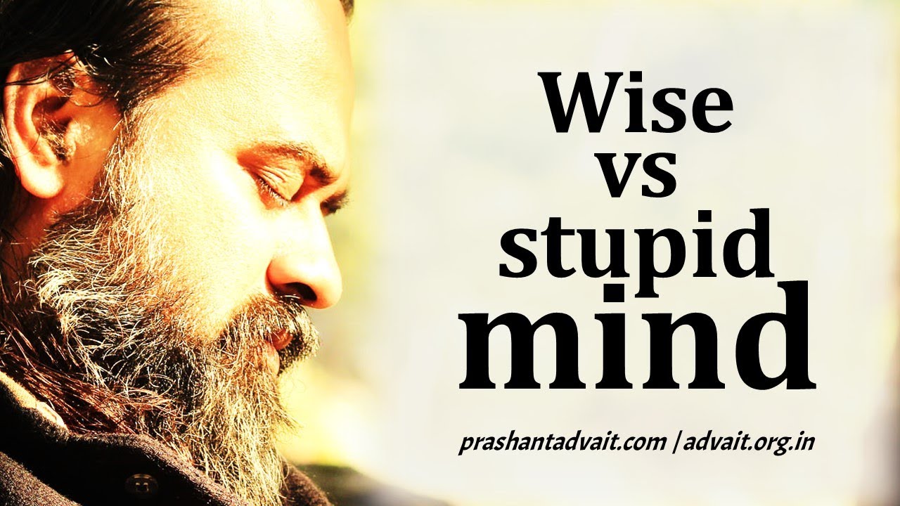 The Difference Between A Stupid Mind And A Wise Mind Acharya the-difference-between-a-stupid-mind-and-a-wise-mind-acharya