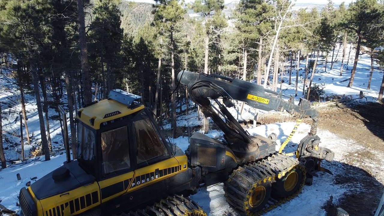 Drone Flying Forestry Job In Colorado - YouTube