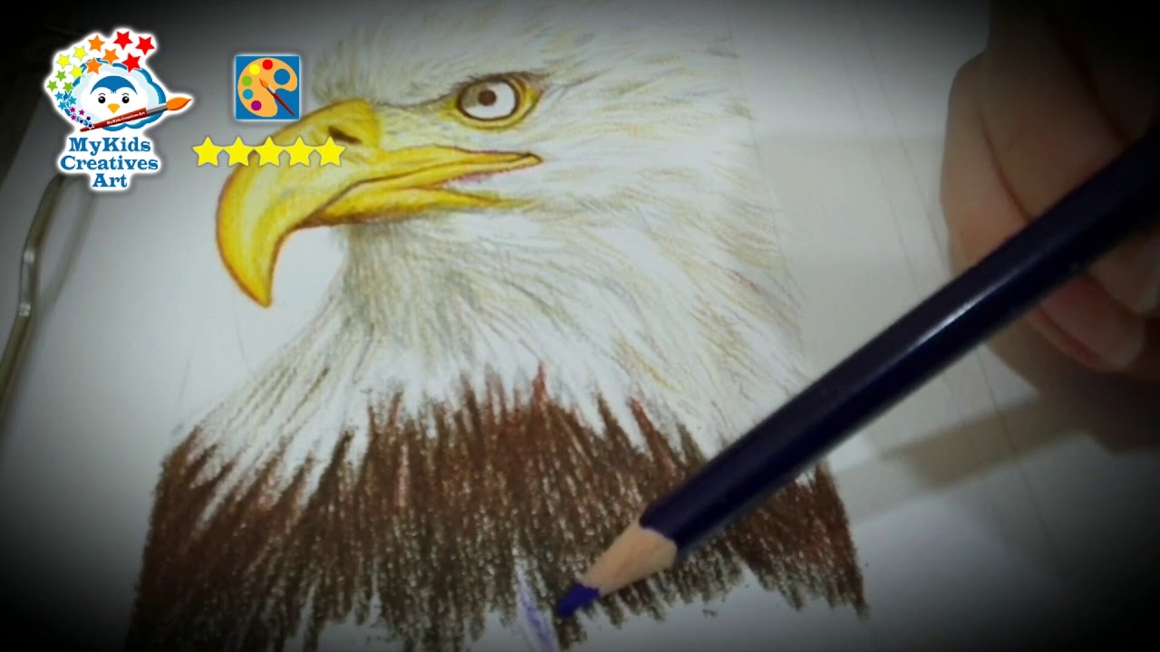 PAINTING - EAGLE (COLOR PENCIL) - YouTube
