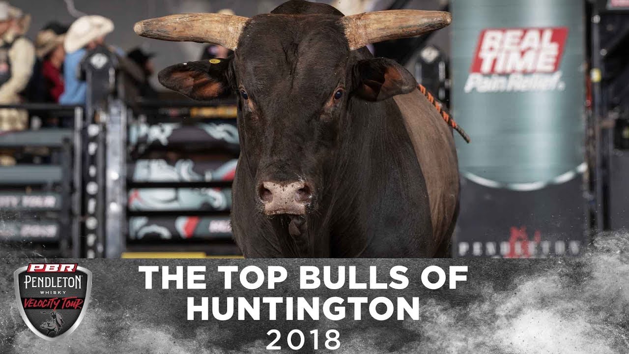 The Best and Rankest Bulls From Huntington Velocity Tour | 2018 - YouTube