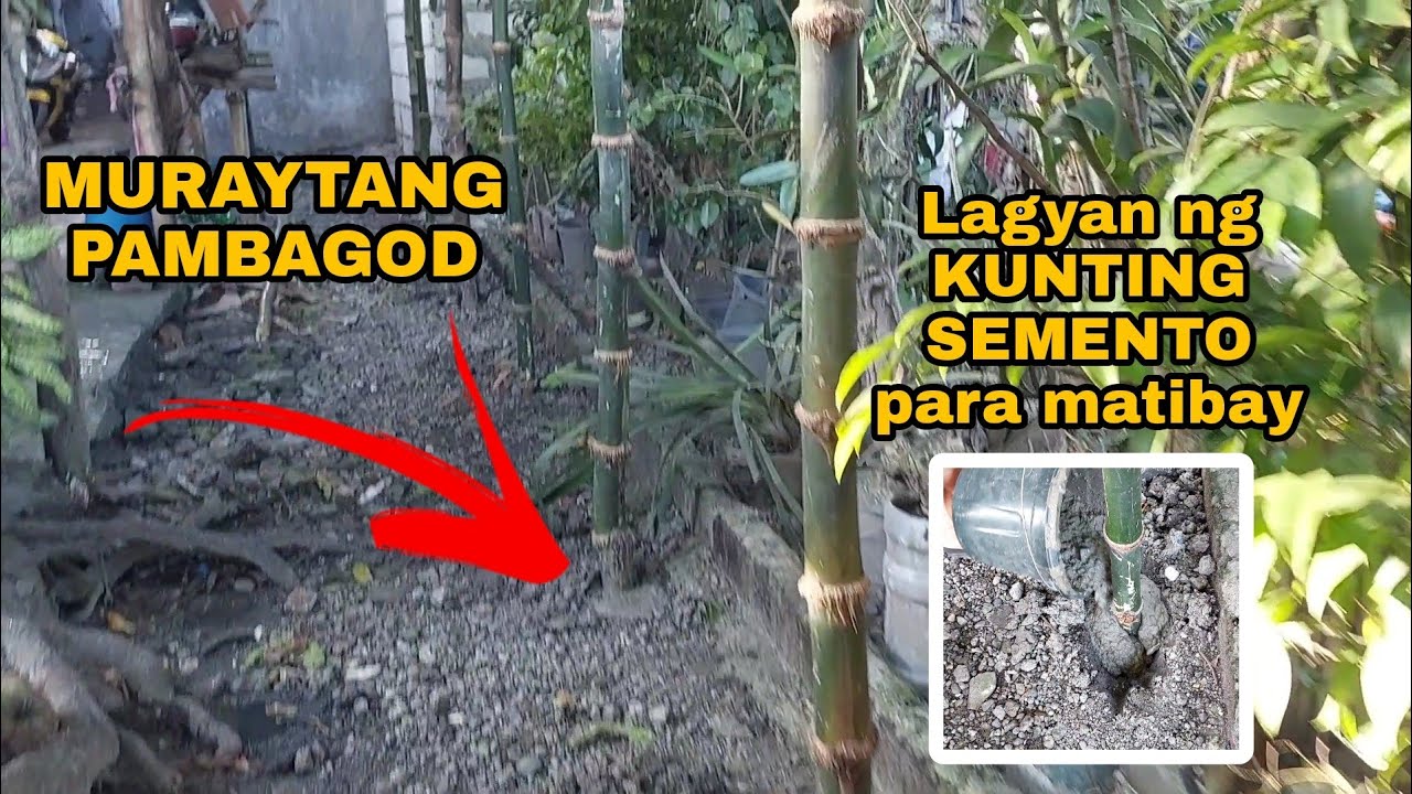 Update sa Ating Simple at Murang Bakod | Backyard Farm | FreeRange ...