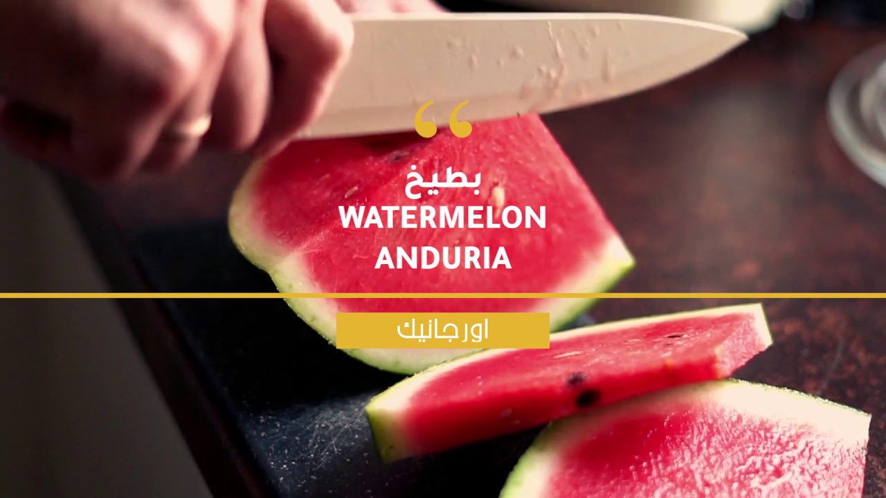 Agricultural Products - Fresh Egyptian Watermelon - YouTube