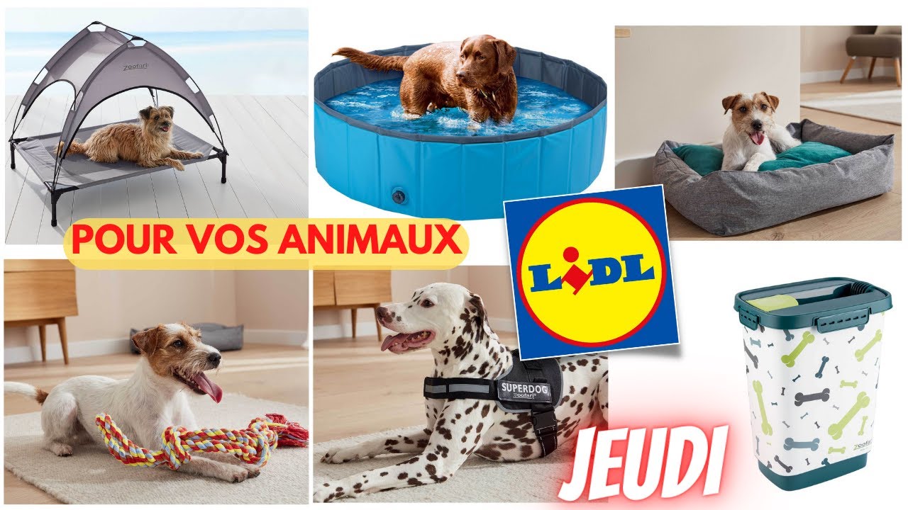 💥 ARRIVAGE LIDL💥 POUR VOS ANIMAUX - 21 avril 2022 - 15 OFFRES - FRANCE ...