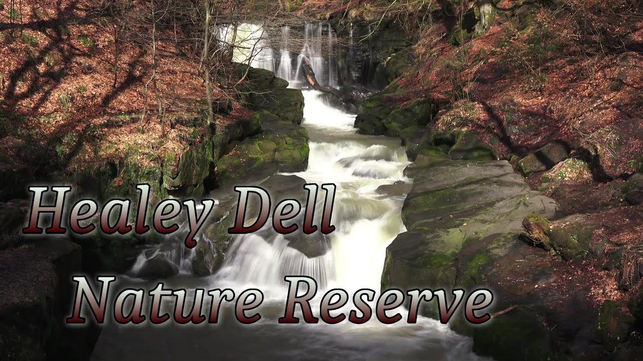 Healey Dell Nature Reserve, Rochdale, 2021 - YouTube