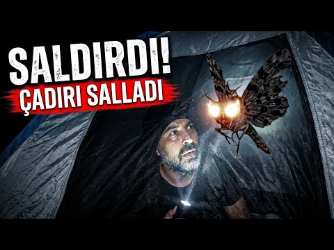 Issız Dağ başında Kamp yaptık Olanlar oldu