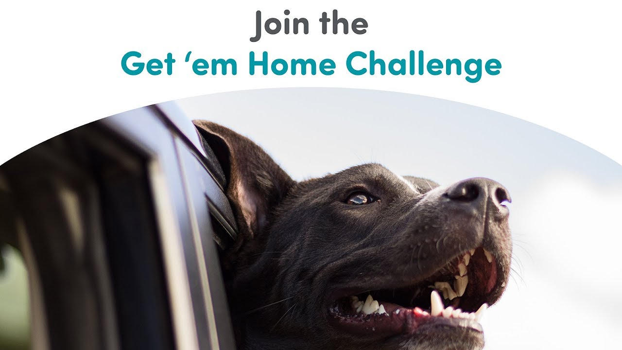 Get 'em Home Challenge - YouTube