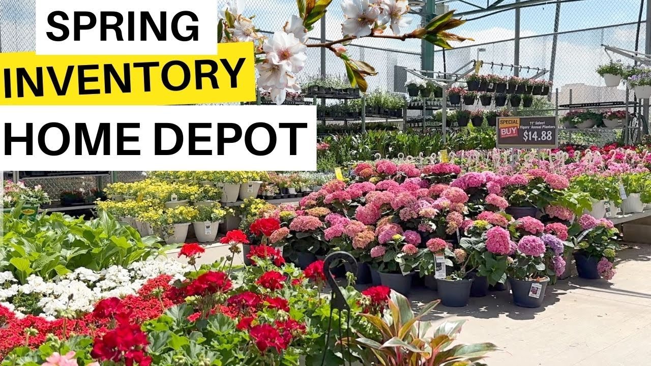 Inventory At Home Depot 🌷🌿😮 MASSIVE Stock For Spring!!! #homedepot ...