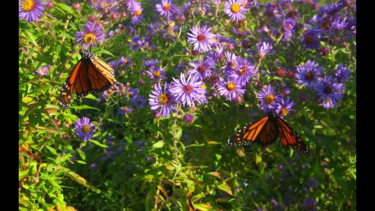 Gods Most Beautiful Creation