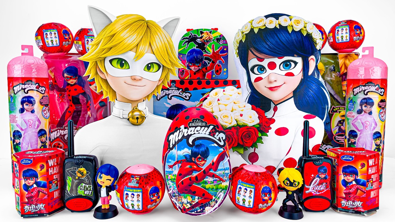 Miraculous Ladybug Toys Collection ASMR Unboxing Review | Marinette ...