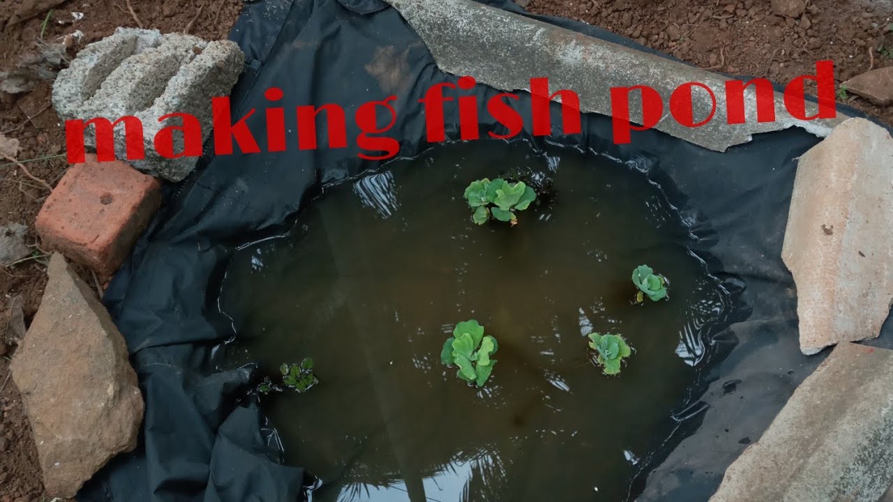 Making fish pond - YouTube