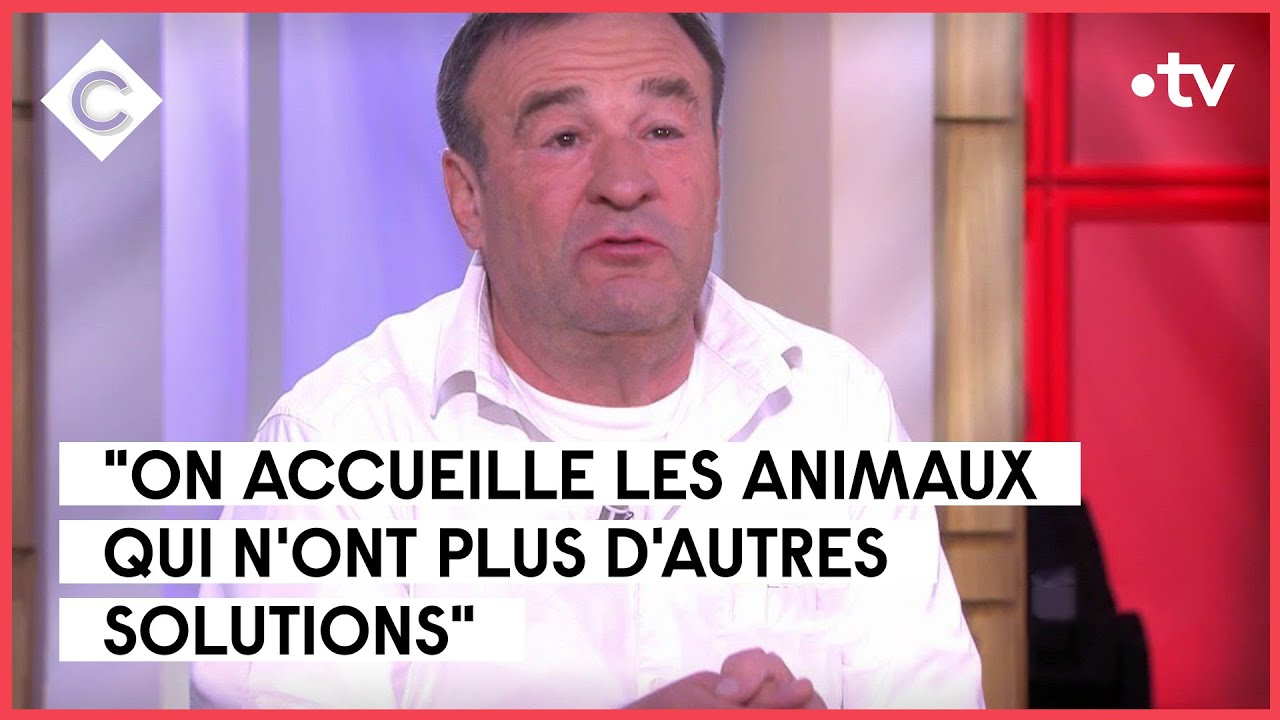 Les restos du coeur pour animaux - Patrick Violas - C à Vous - 10/04 ...
