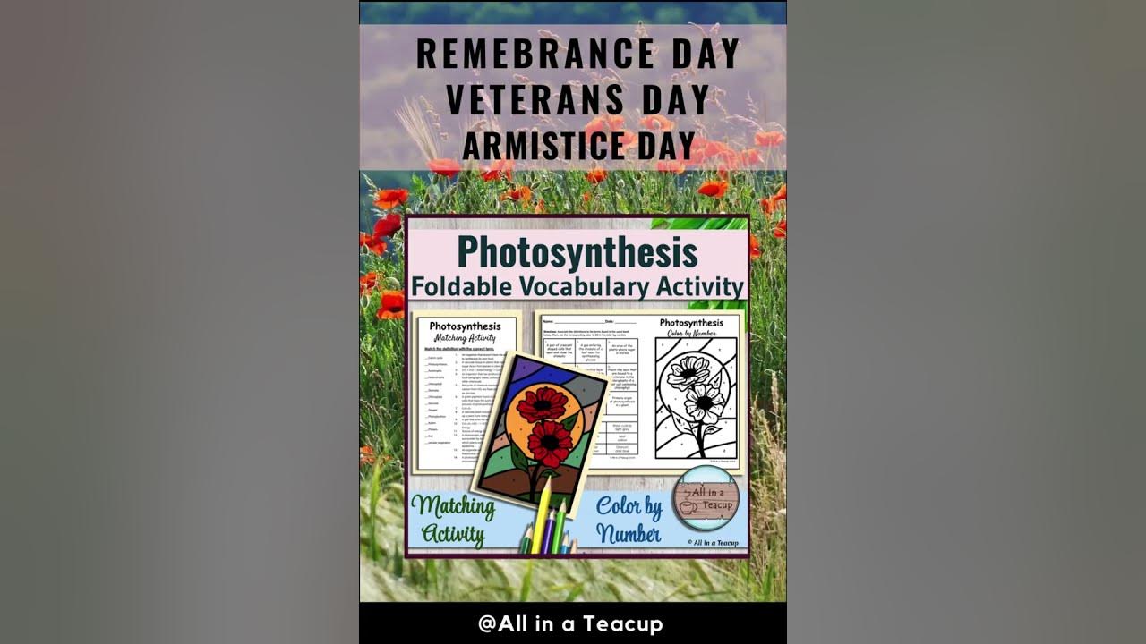 Photosynthesis Vocab Foldable Match & Remembrance Day Veterans Color by ...