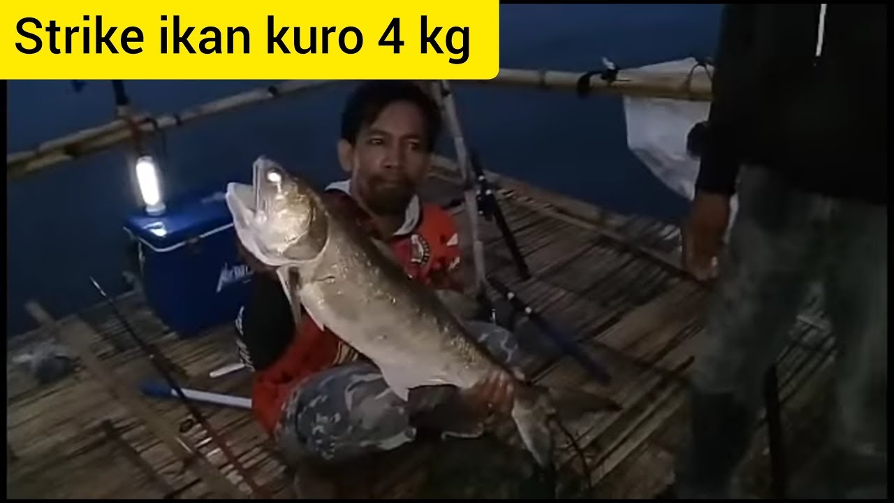 Mancing di bagan strike bertubi tubi - YouTube