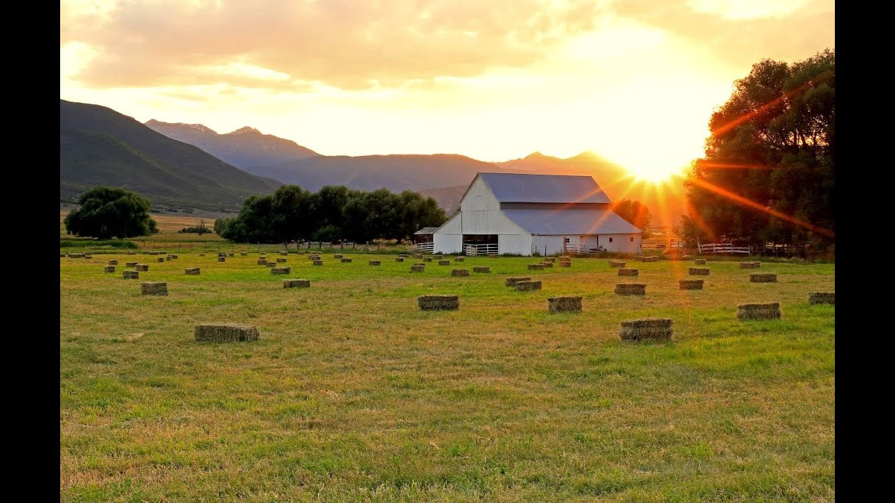 Crossroads: Change in Rural America at Joyner Library - YouTube