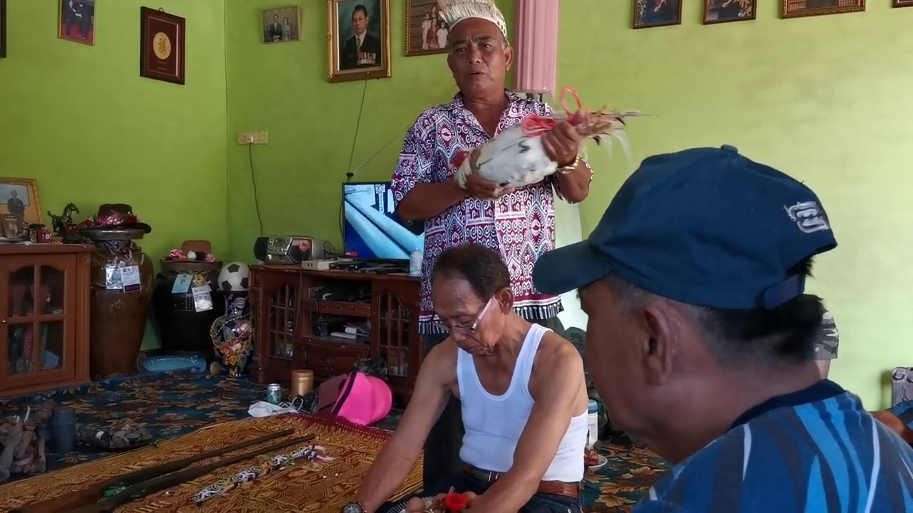 Pengawa Miring - dinding Bulu - YouTube