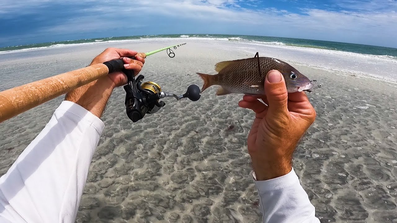 BIG West Coast Fish CRUSH These Baits - We Caught And Released Over A ...