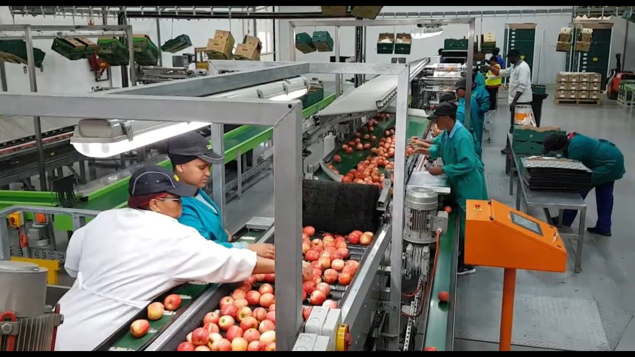 Redpack Apples automatic Infeed to palletizing - YouTube