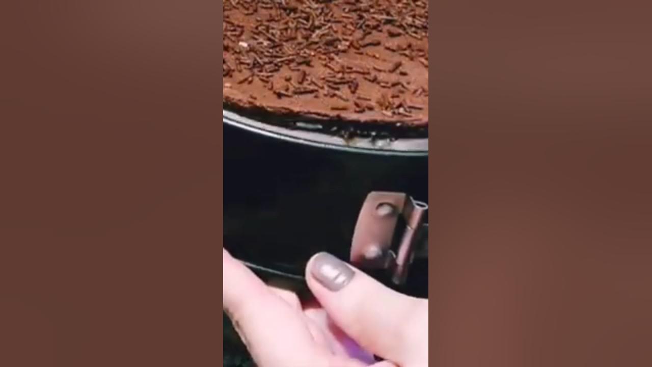 #food #cuisiner #cooking #cuisine #cake #cuisinelovers #1345 #yummy #ytb #shortsfeed #shortvideo ...