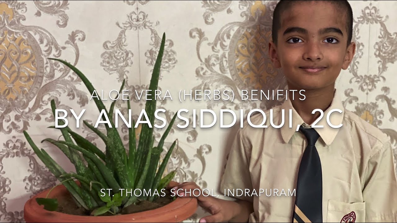 Aloe Vera Herbs Benefits | Anas Siddiqui - YouTube