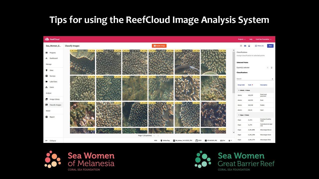 Tips for using Reefcloud - YouTube