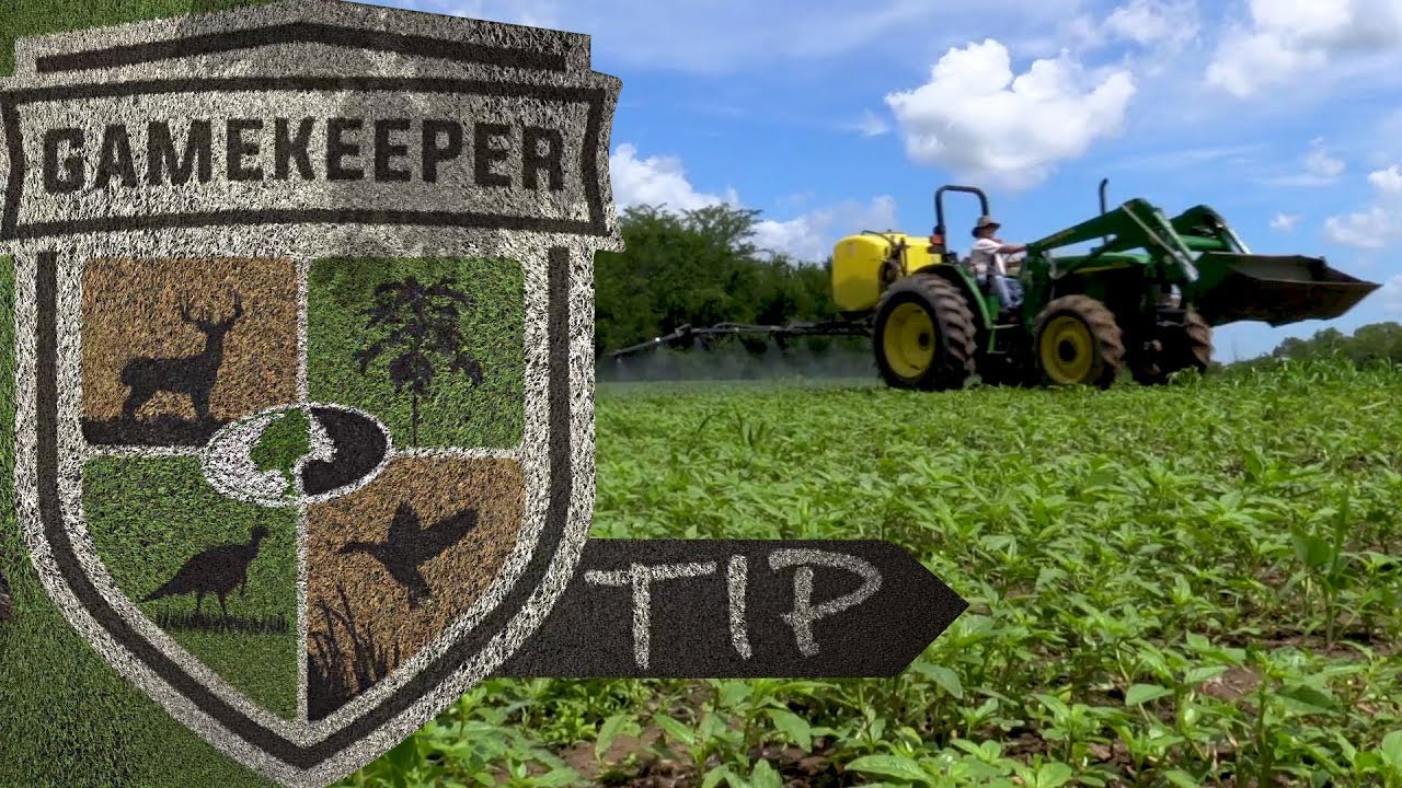 Gamekeeper Tip - Spraying for Grass and Broadleaf Weeds - YouTube