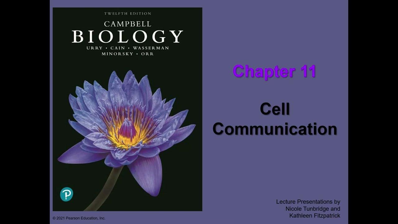 General Biology (College) - Chapter 11 - Cell Communication - YouTube