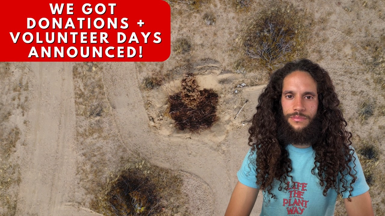 Big announcements for our desert project Ep 31 - YouTube