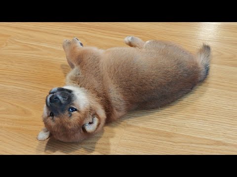 She really wants to go near her daddo whilst eating 😶