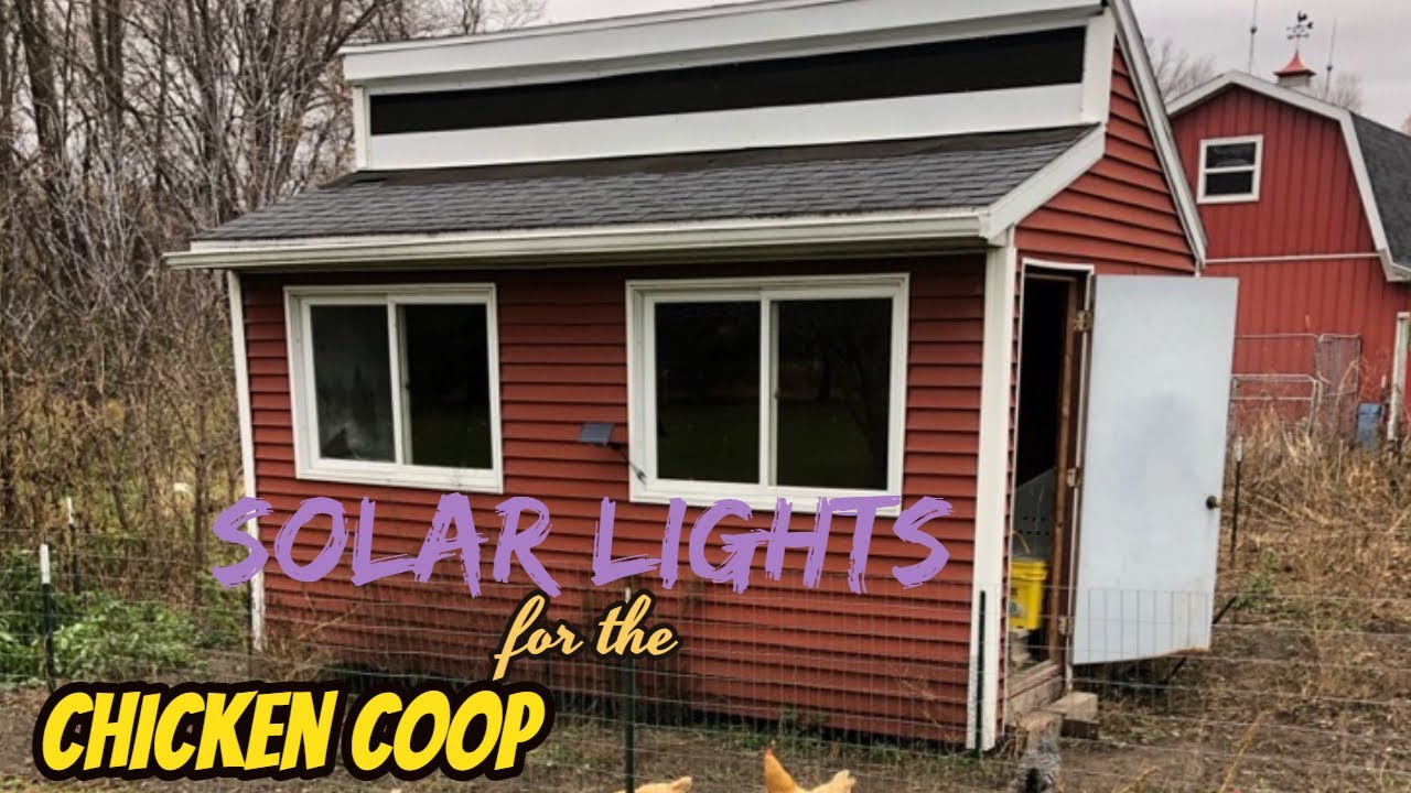Solar Lights for our Chicken Coop - YouTube