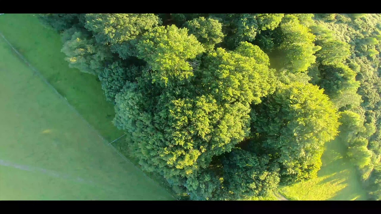 Gaps Galore! FPV Freestyle - YouTube