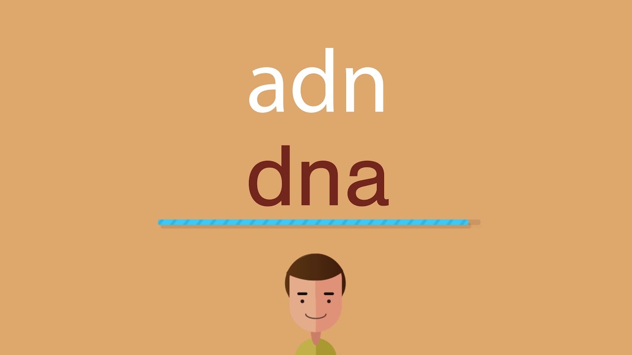 Cómo se dice adn en inglés - YouTube