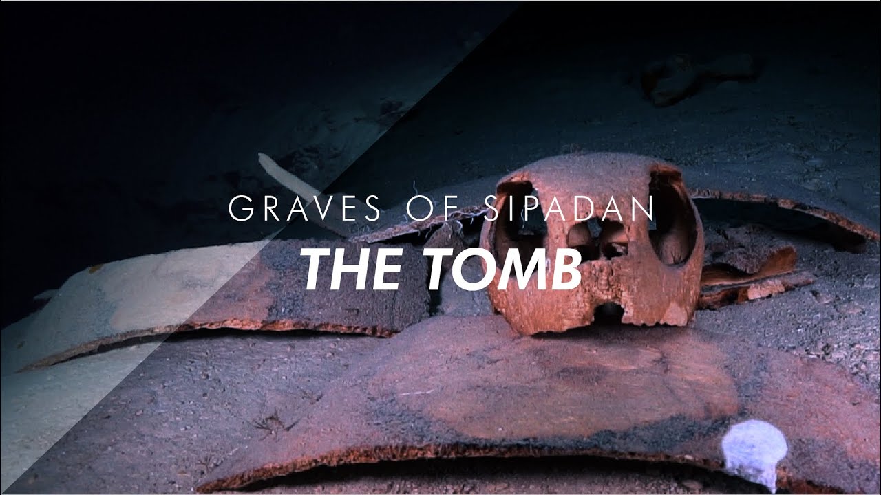 Cave Diving in Sipadan | TURTLE TOMB: Graves of Sipadan - YouTube