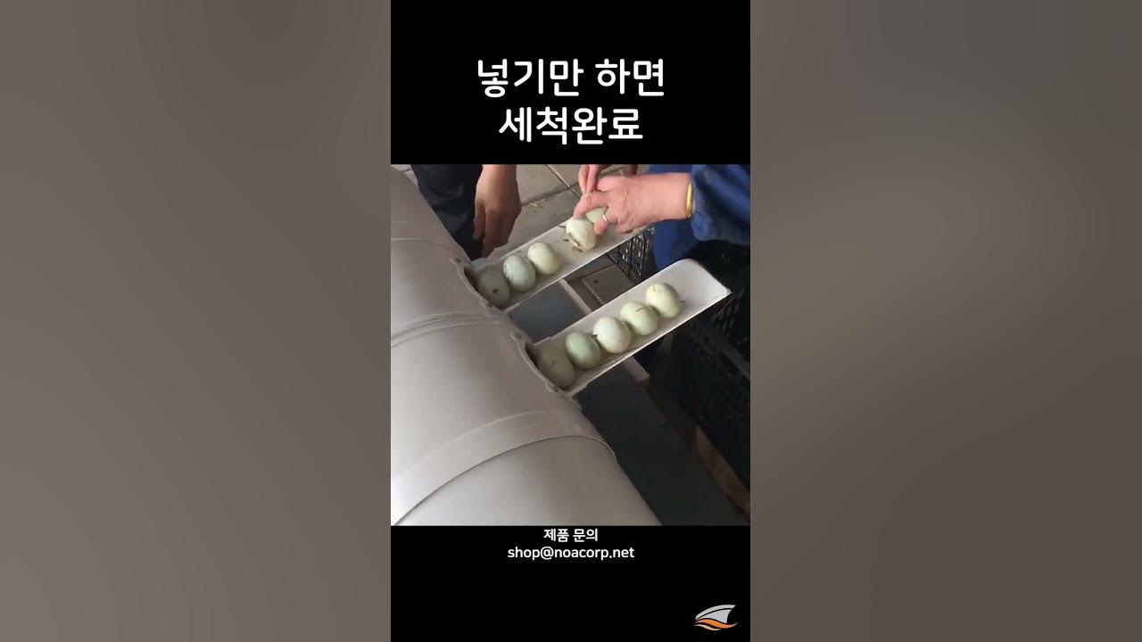 계란세척기 달걀세척기 식품기계 식품자동화설비 계란 자동화기계 Youtube