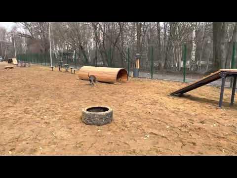 Бамбу - YouTube