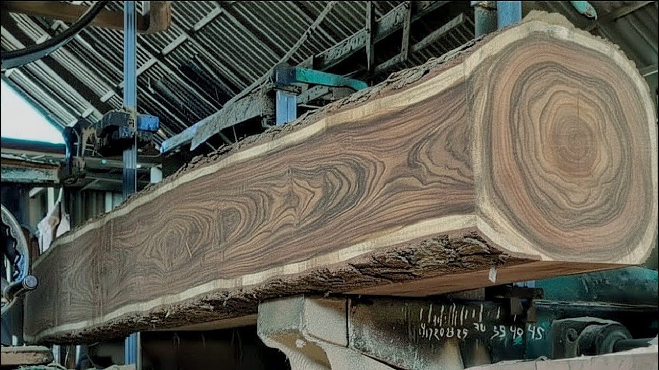 Sawing a Old Log Showcassing Stunning Natural Grain Pattern - YouTube
