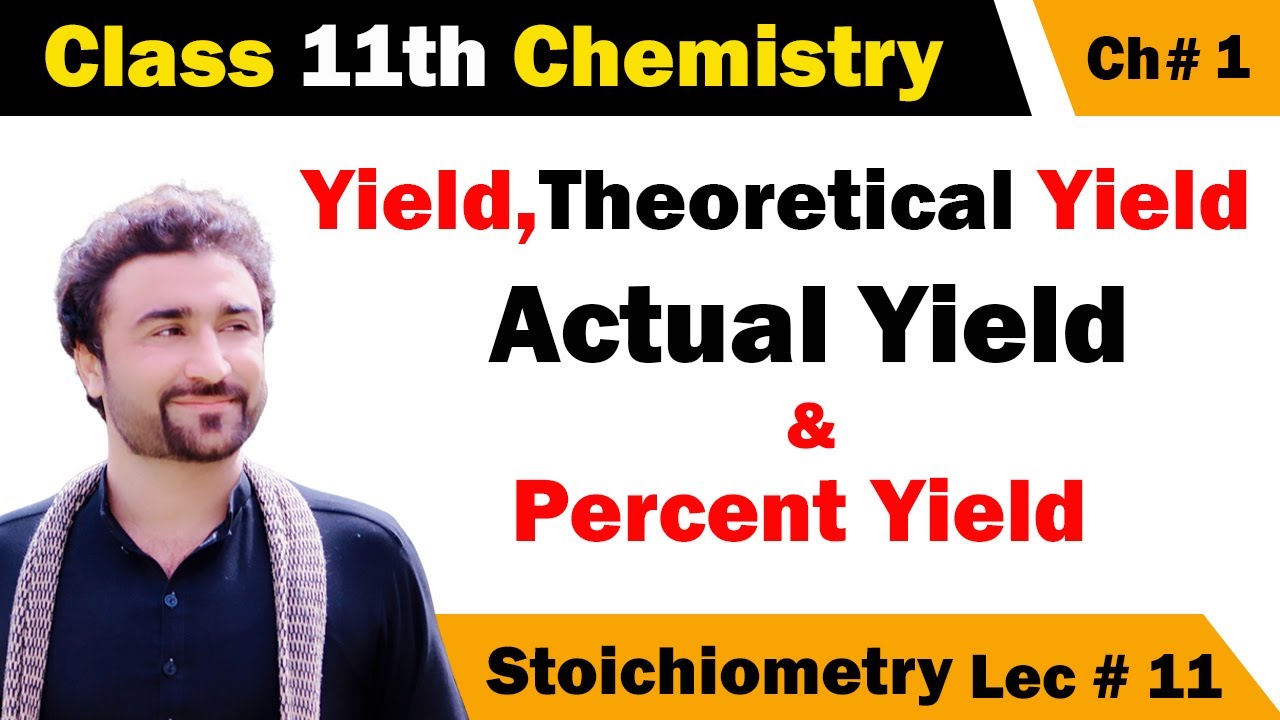 Theoretical Yield Actual Yield and Percent Yield Class 11 - YouTube