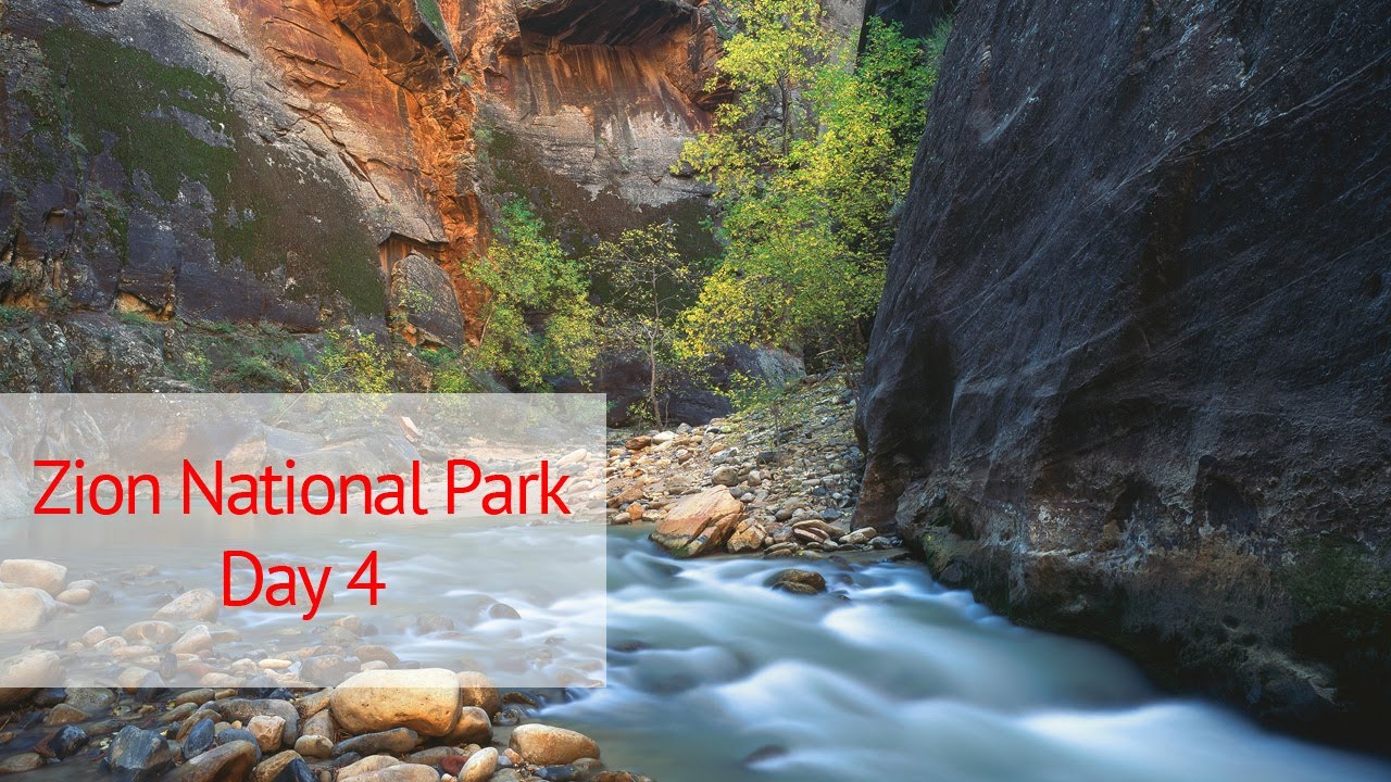 Large Format Landscape Photography in Zion National Park: Day 4 - YouTube
