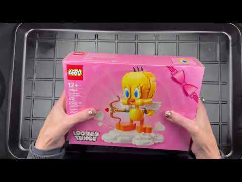 ASMR LEGO Build | Looney Tunes Sweetheart Tweety Bird 40824
