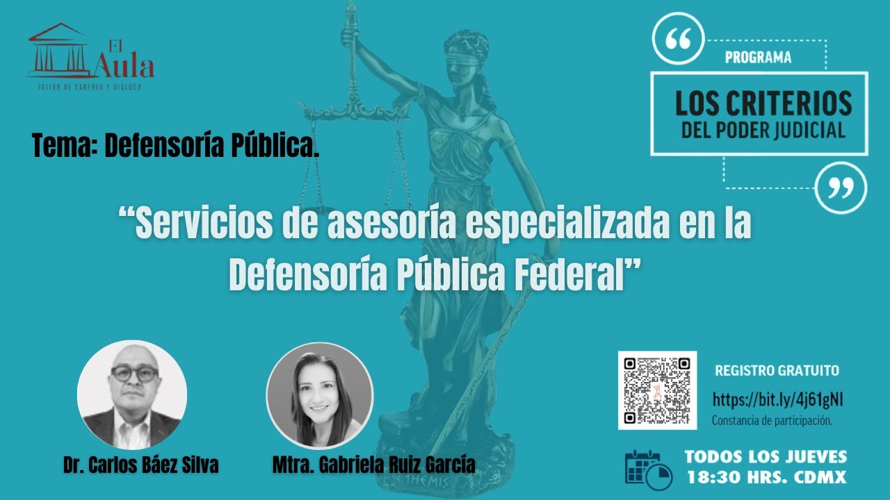 Servicios de asesoría especializada en la Defensoría Pública Federal ...