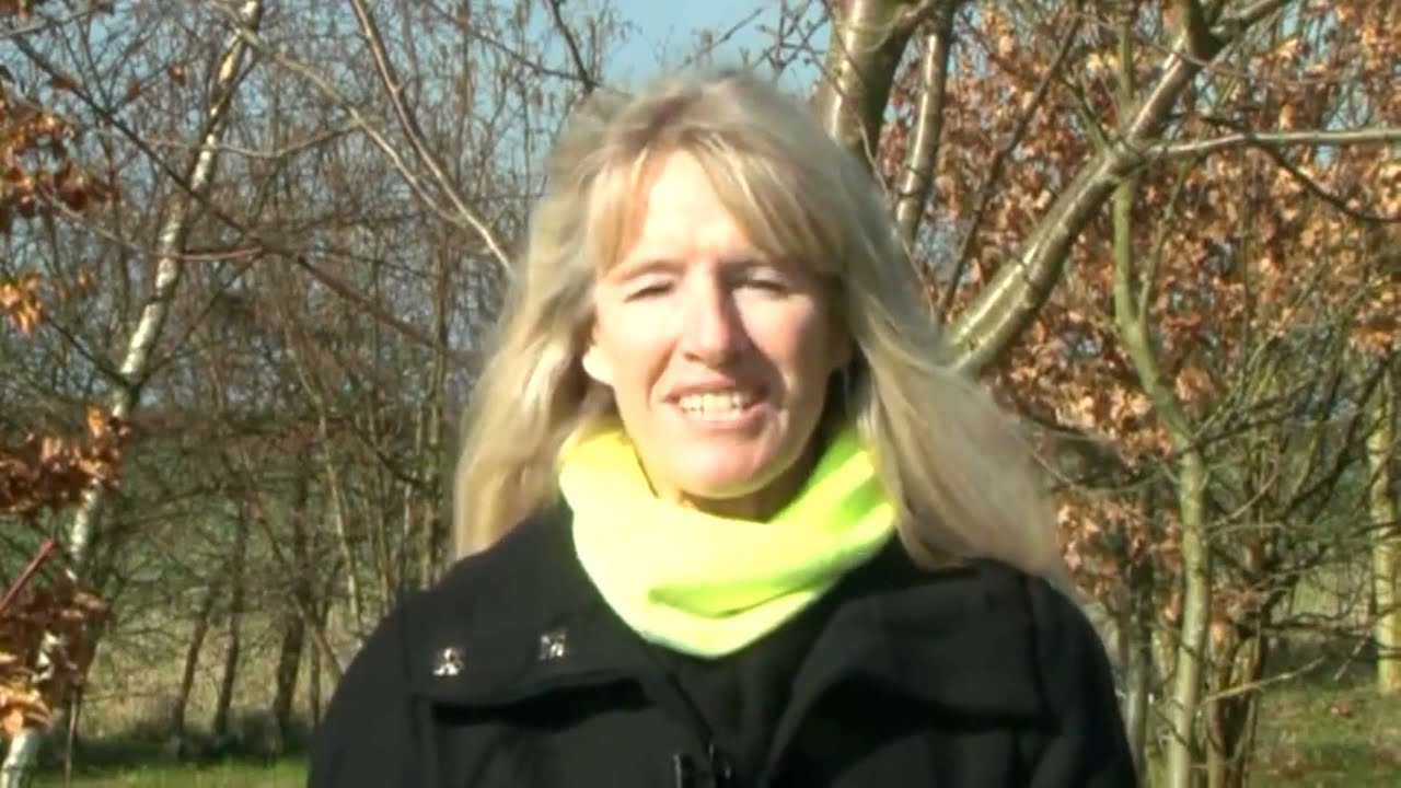 The Essence of Watercolour with Hazel Soan - YouTube